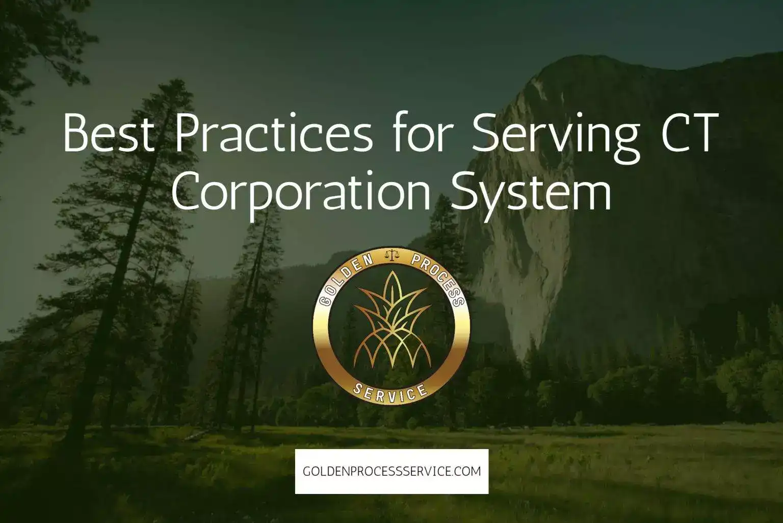 Best Practices for Serving CT Corporation System